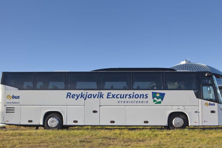 HOW DO BUSES IN REYKJAVIK AND SURROUNDINGS WORK?